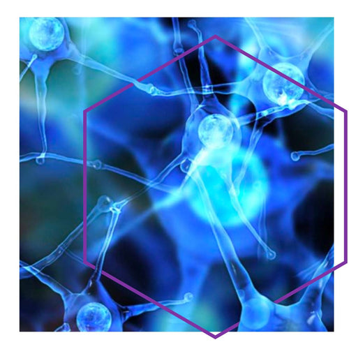 Discover Your Brain's Potential | Bulletproof Brain Upgrades